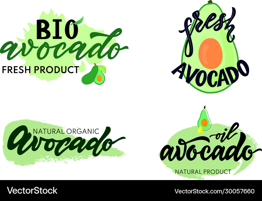 Set hand calligraphy lettering with avocado on Vector Image