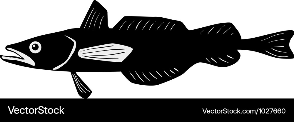 Silhouette of hake Royalty Free Vector Image - VectorStock
