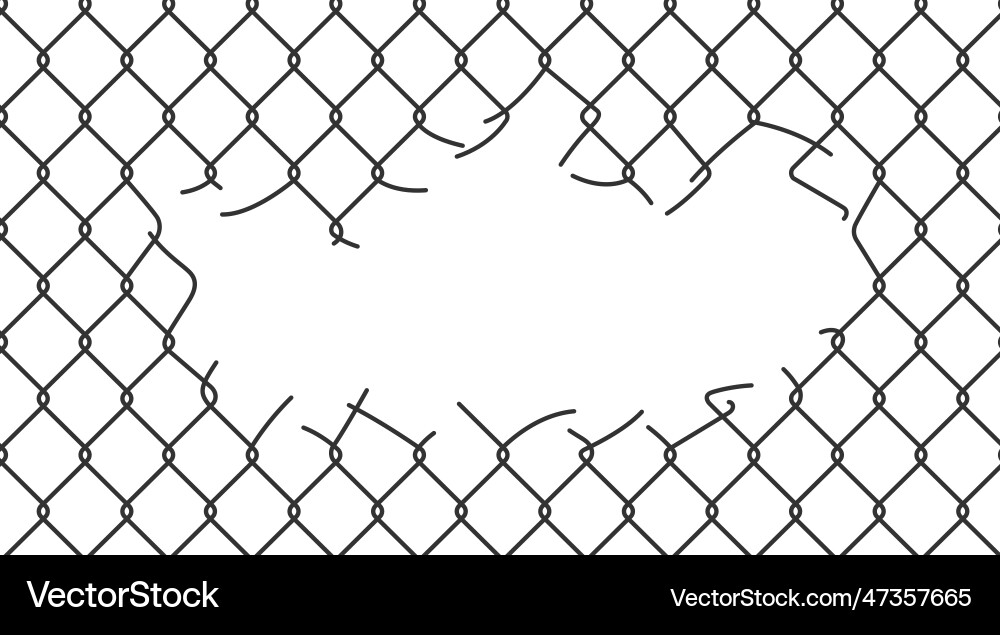 Broken wire mesh fence rabitz or chain link fence Vector Image