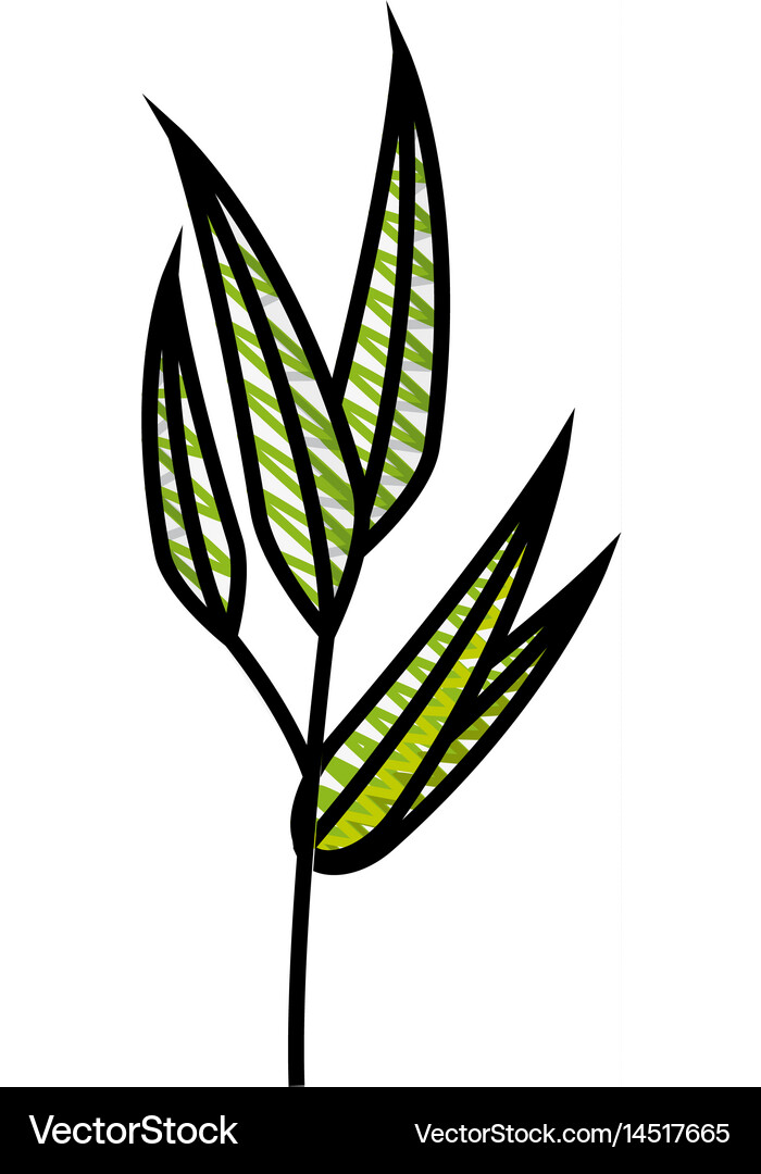 Leaf natural ecology Royalty Free Vector Image