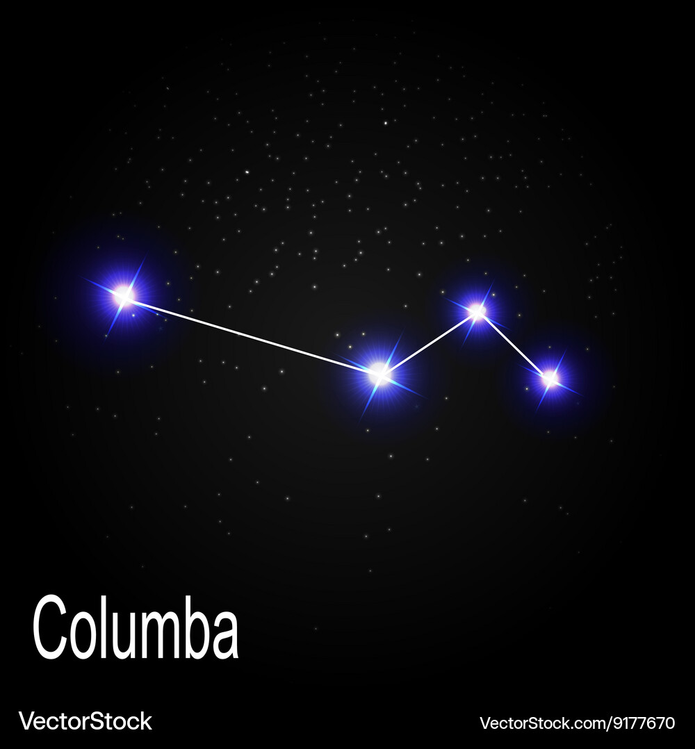 Columba constellation with beautiful bright stars Vector Image