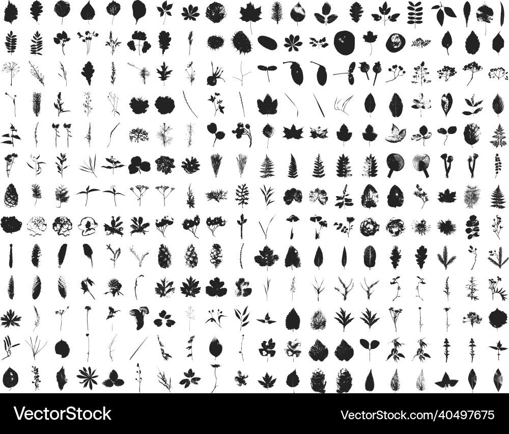 Big set of leaves Royalty Free Vector Image - VectorStock
