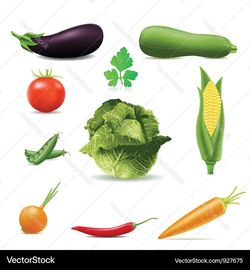 Collection of Vegetable Icons Royalty Free Vector Image