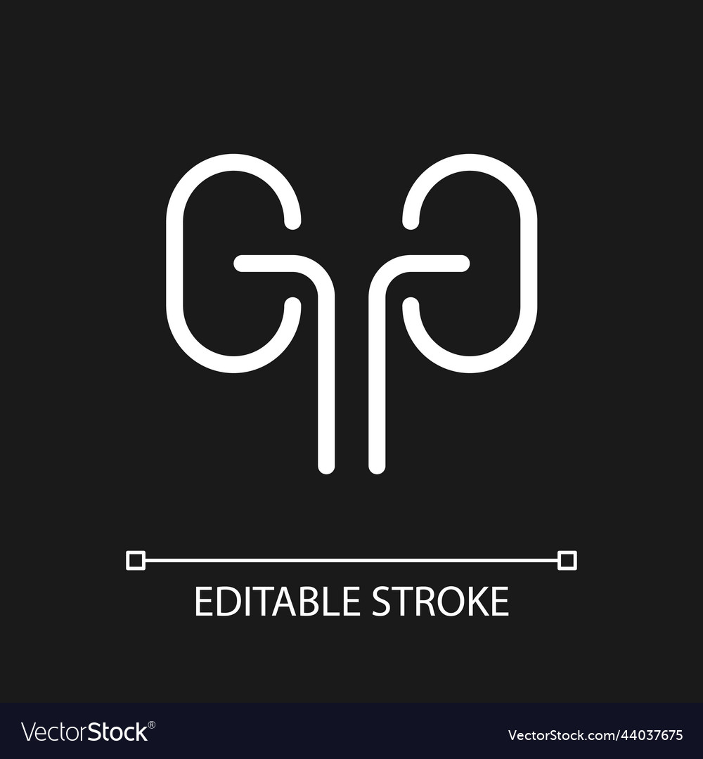 Kidneys pixel perfect white linear ui icon Vector Image Kidneys pixel perfect white linear ui icon Vector Image