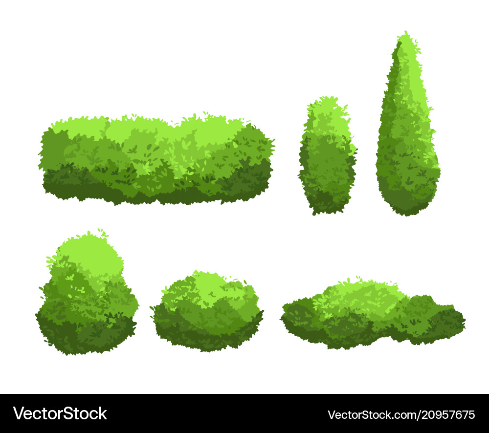 Set garden green bushes and Royalty Free Vector Image