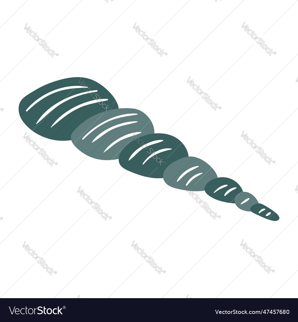 Conch seashell Royalty Free Vector Image - VectorStock