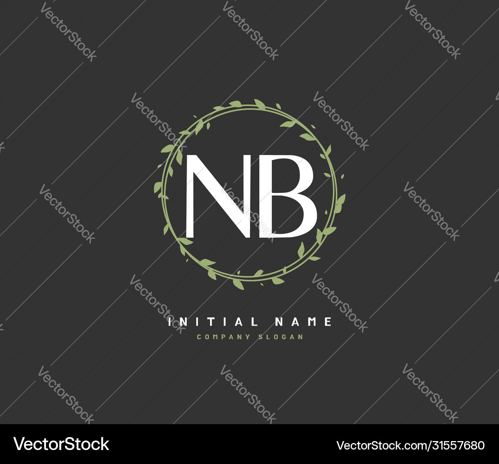 N b nb beauty initial logo handwriting logo Vector Image