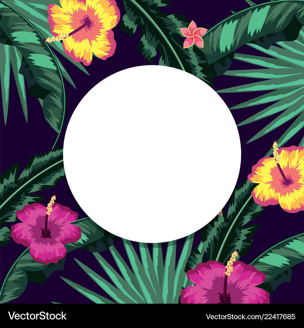 Circle sticker with flowers and leaves background Vector Image