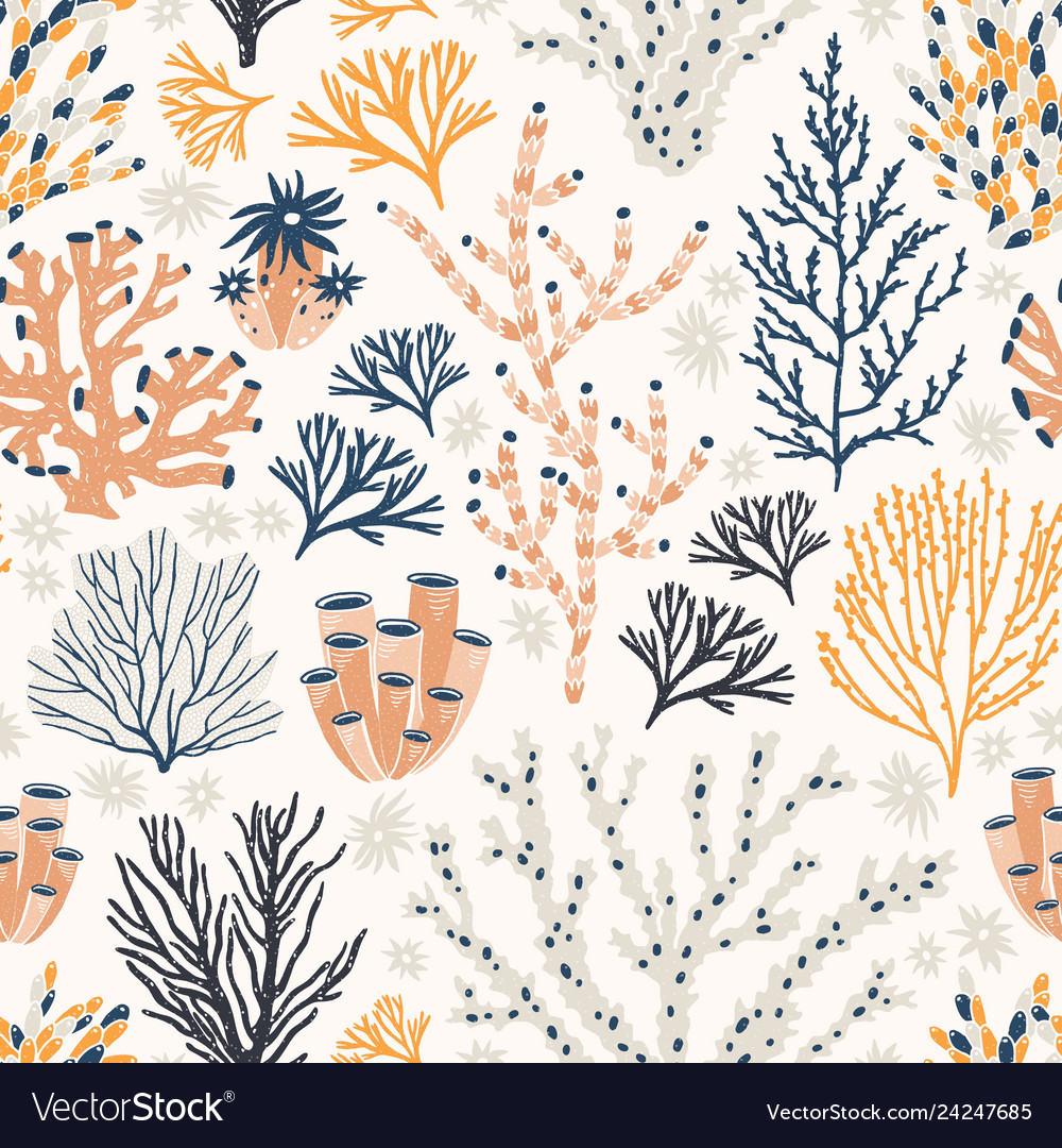 Seamless pattern with corals and seaweed or algae Vector Image