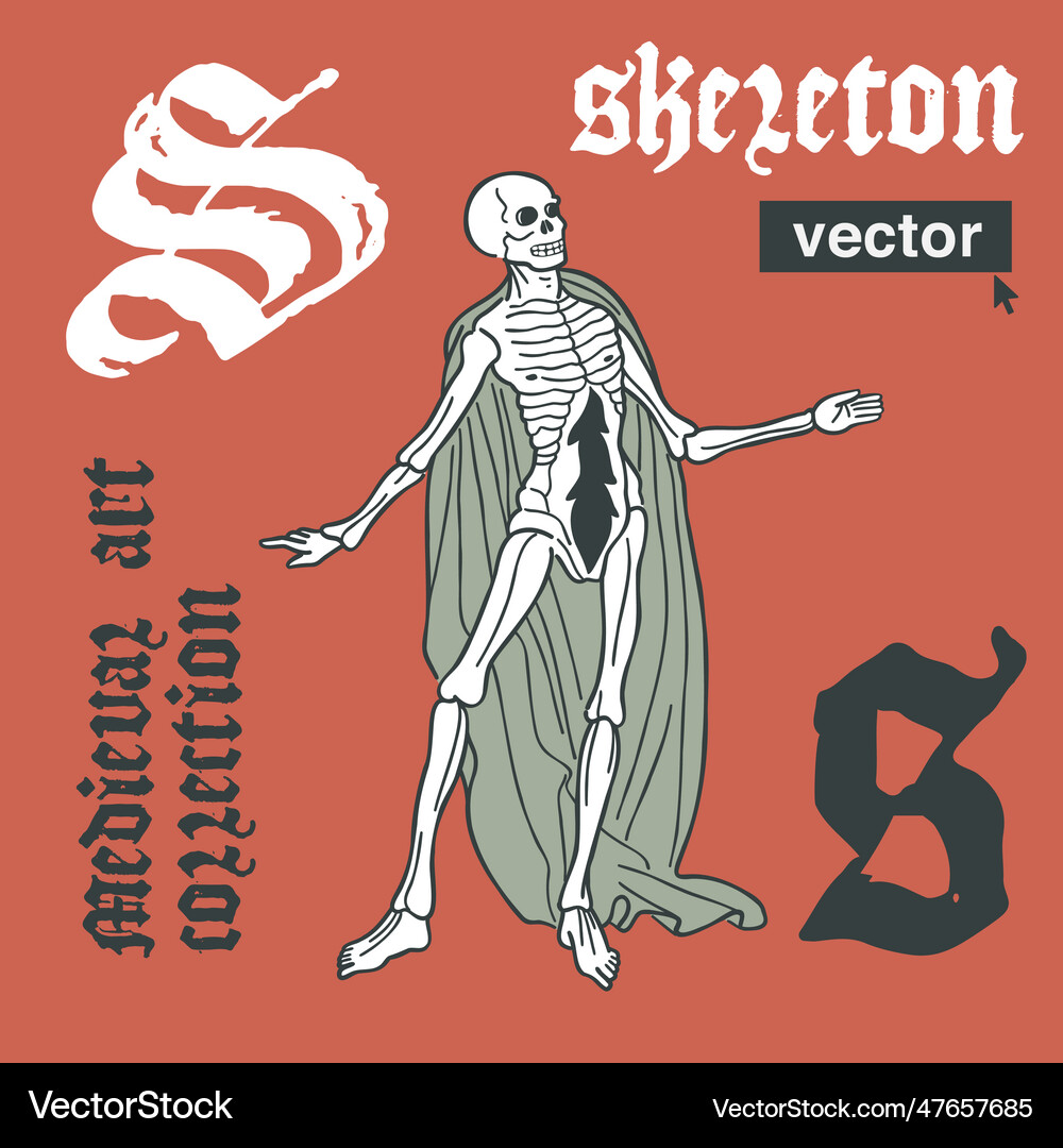 Skeleton in cloak medieval style engraving art Vector Image