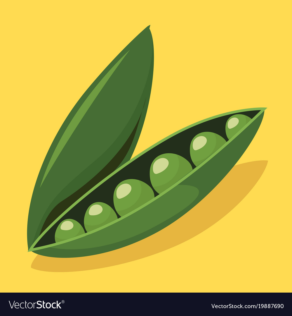 Pea vegetable Royalty Free Vector Image - VectorStock