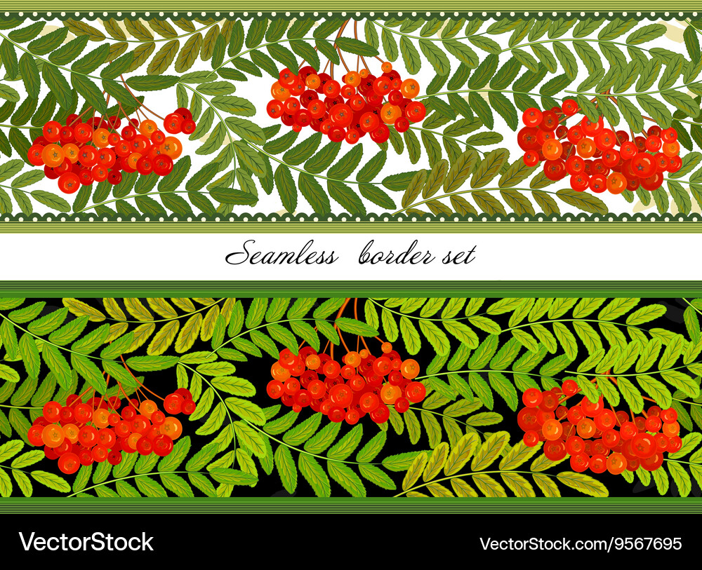 Border bunches rowan and leaves seamless Vector Image