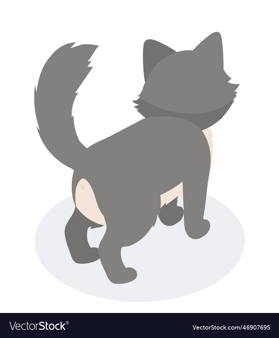 Isometric grey cat Royalty Free Vector Image - VectorStock
