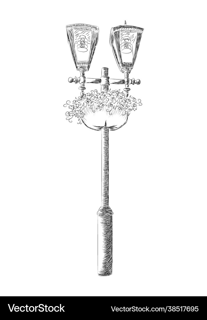 Street clocks and a lamp post hand-drawn Vector Image