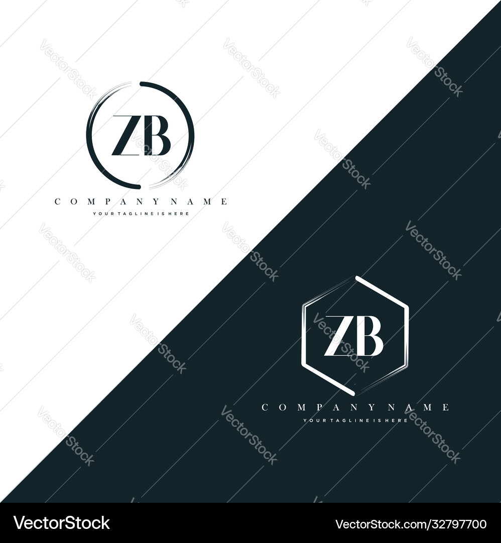 Initial letter zb circle brush hexagon brush Vector Image