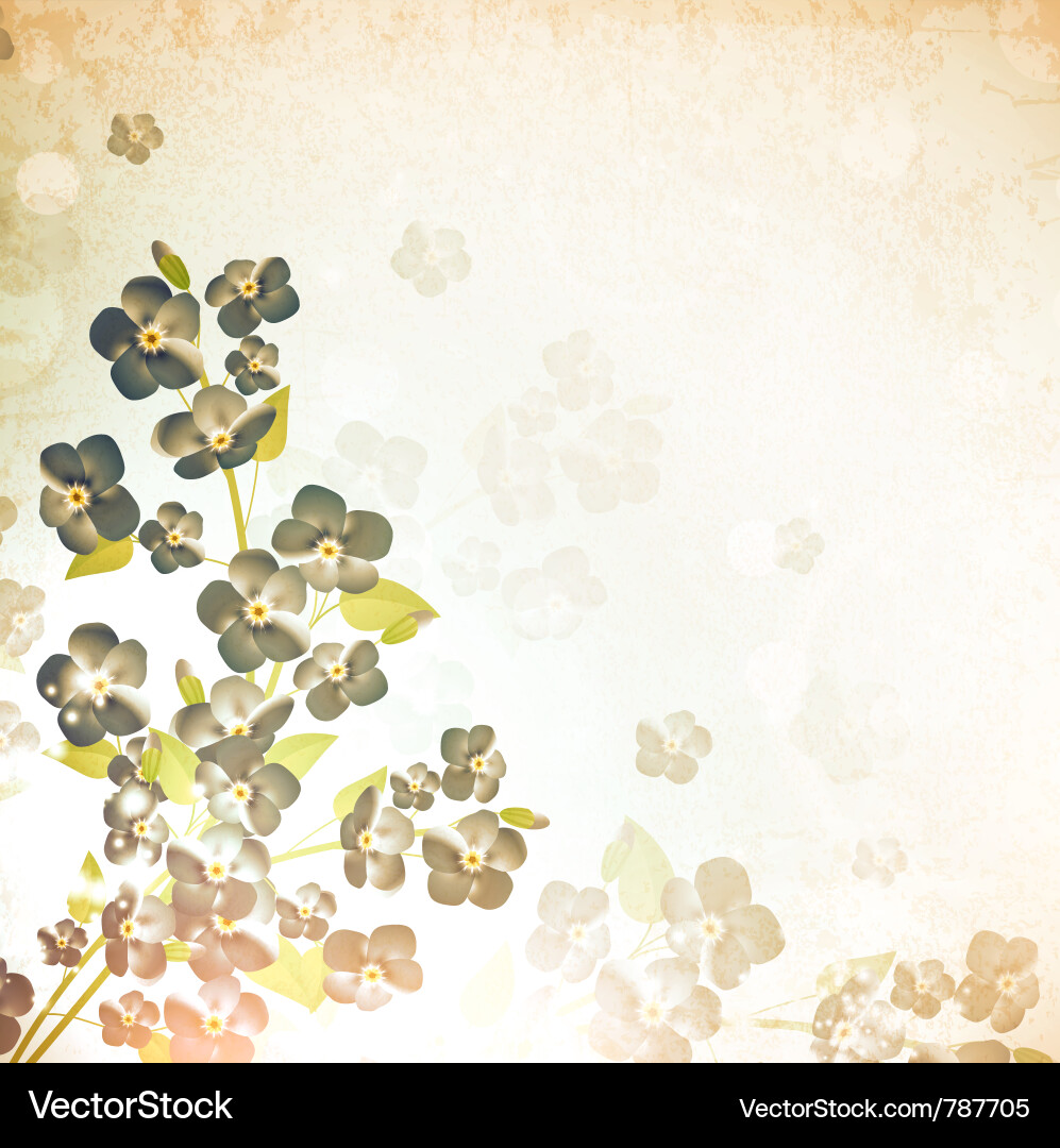 Forget-me-not flower vintage background Royalty Free Vector