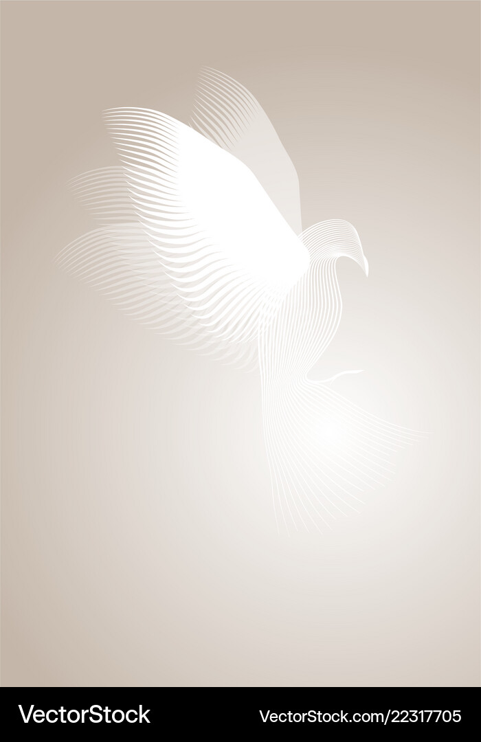 Magic dove made with lines on misty background Vector Image
