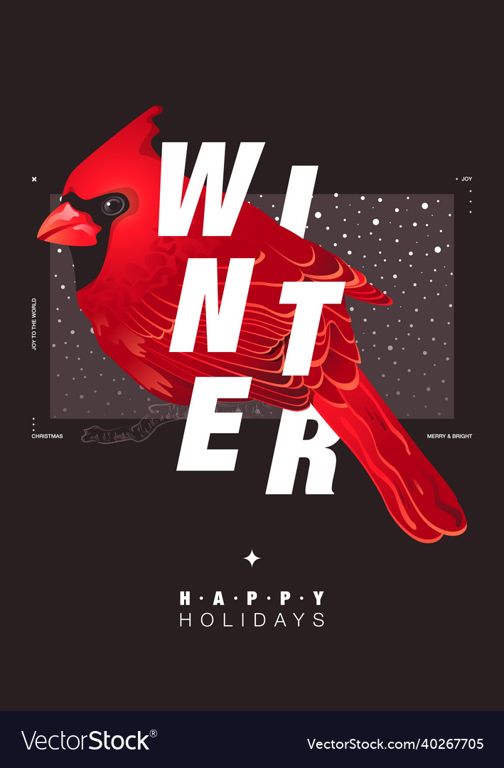 Winter bird Royalty Free Vector Image - VectorStock