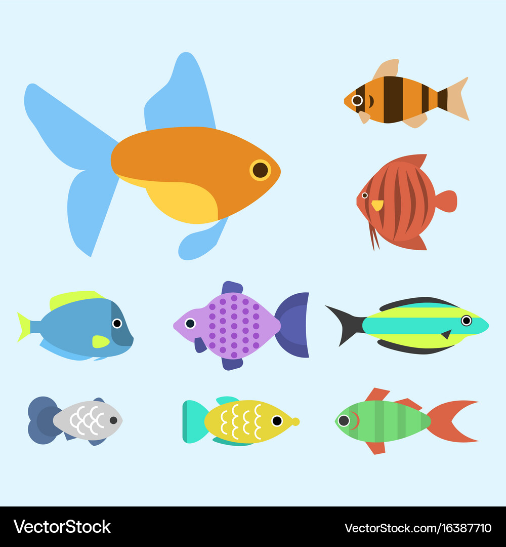 Exotic tropical fish race different breed colors Vector Image
