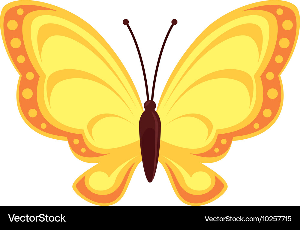 Butterfly animal insect wing Royalty Free Vector Image