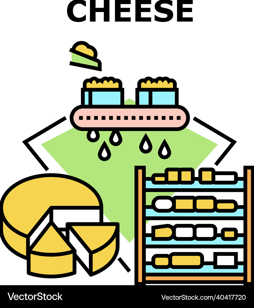 Cheese food concept color Royalty Free Vector Image