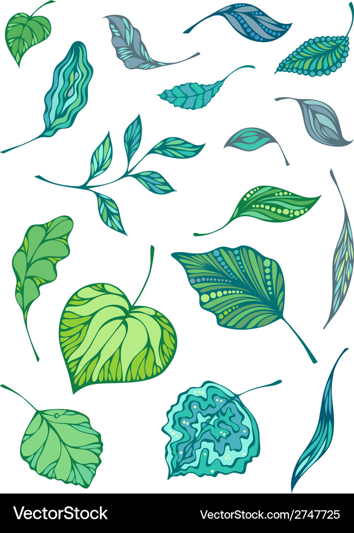 Set of leaves Royalty Free Vector Image - VectorStock
