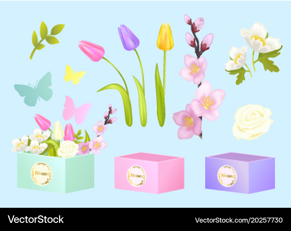 Box and flowers set poster Royalty Free Vector Image