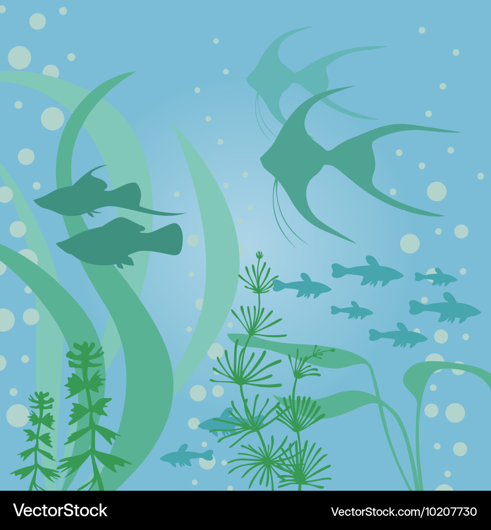 Fish aquarium Royalty Free Vector Image - VectorStock