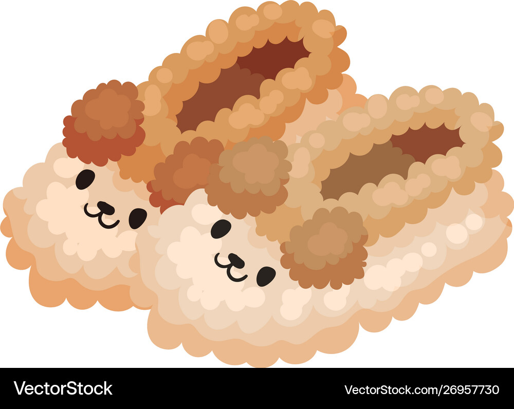 Warm indoor slippers Royalty Free Vector Image