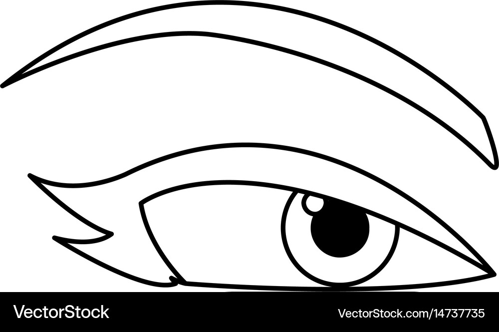 Woman eye eyebrows eyelashes outline Royalty Free Vector
