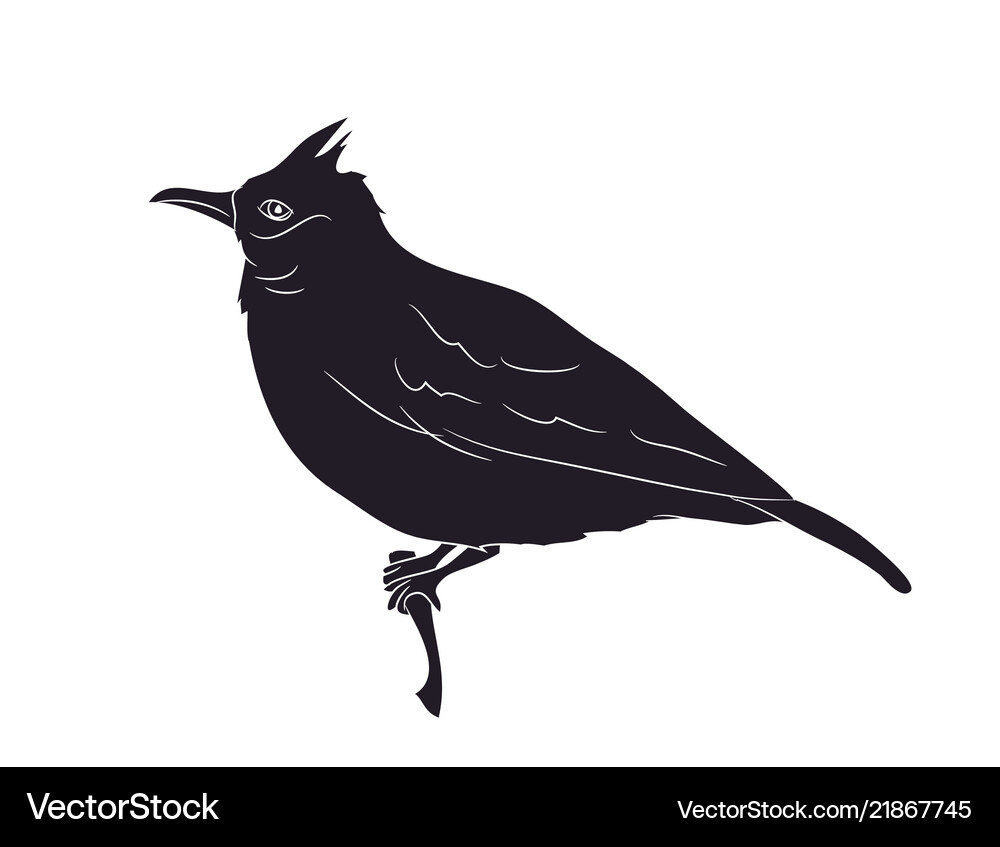 Bird sitting on a branch silhouette Royalty Free Vector