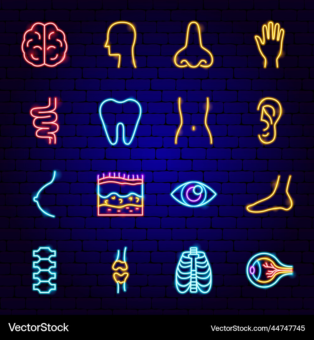 Body organs neon icons Royalty Free Vector Image