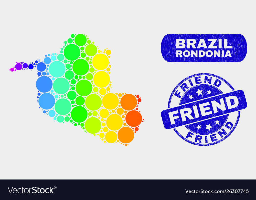 Bright mosaic rondonia state map and distress Vector Image