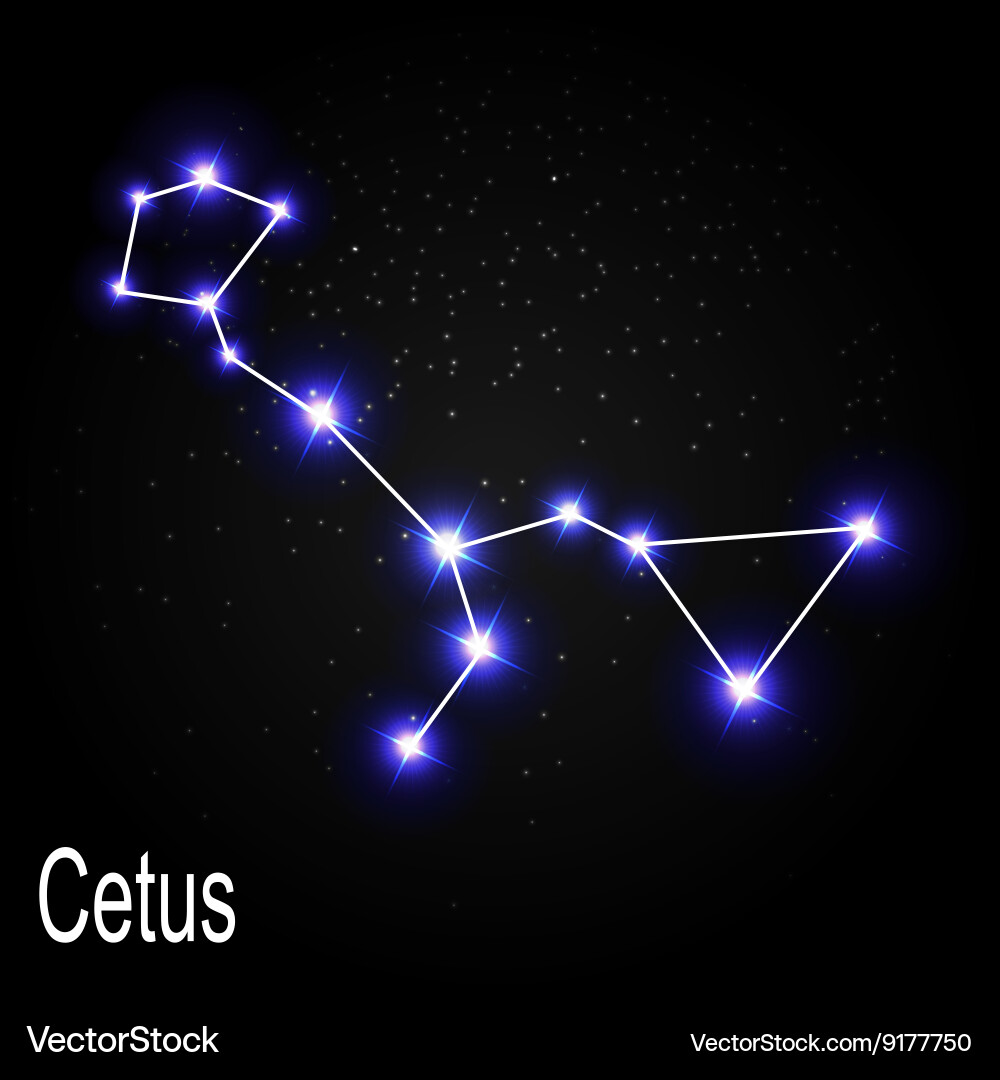 Cetus constellation with beautiful bright stars on