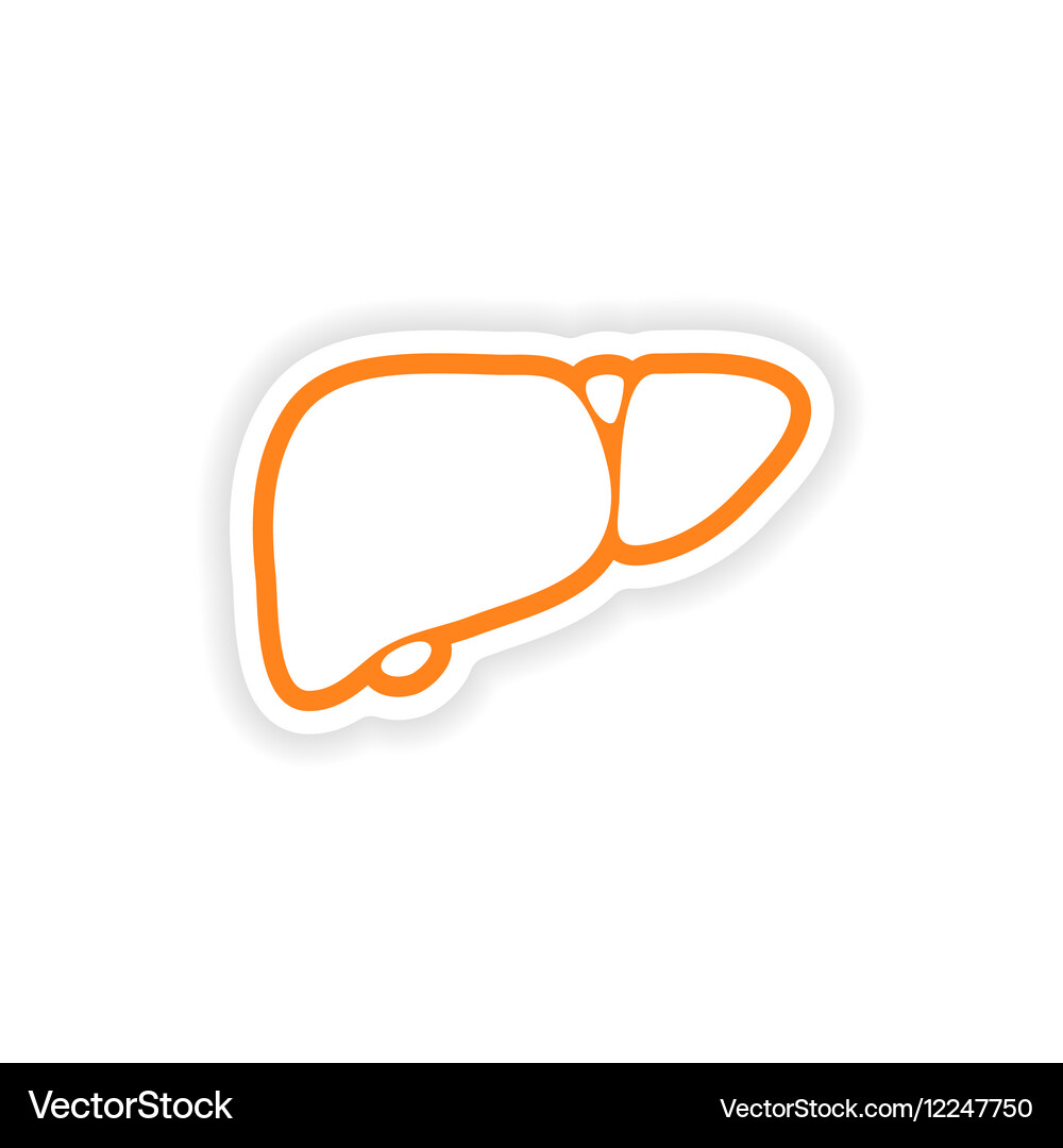 Paper sticker on white background human liver Vector Image