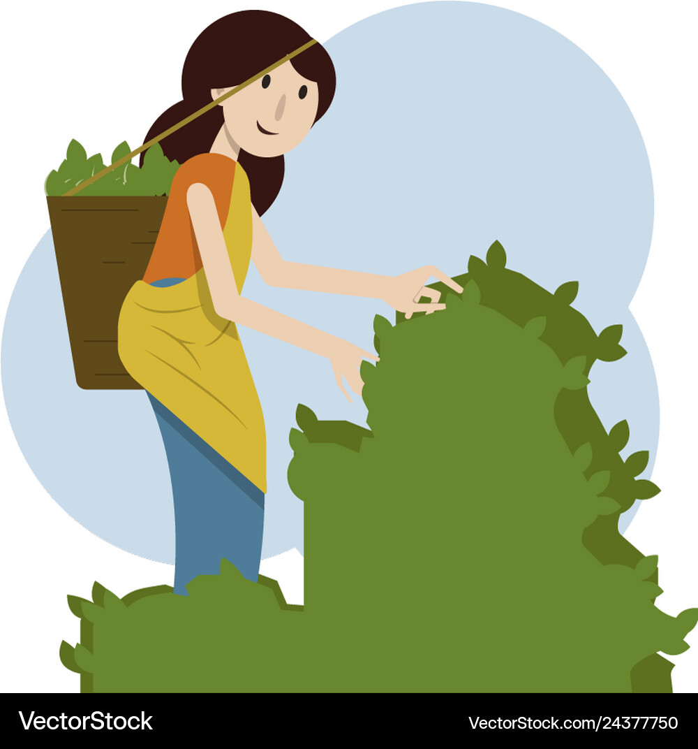 Traditionally dressed female character collect Vector Image