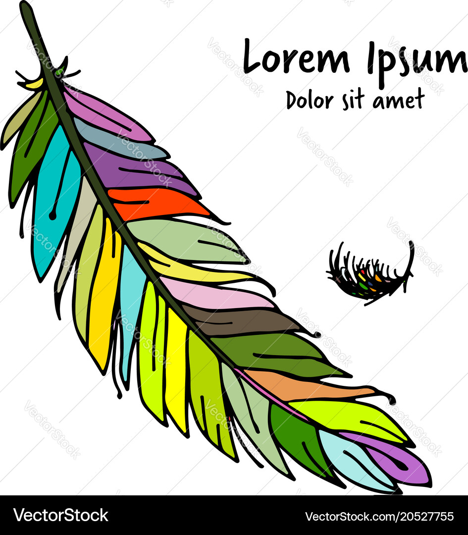 Art feather for your design Royalty Free Vector Image