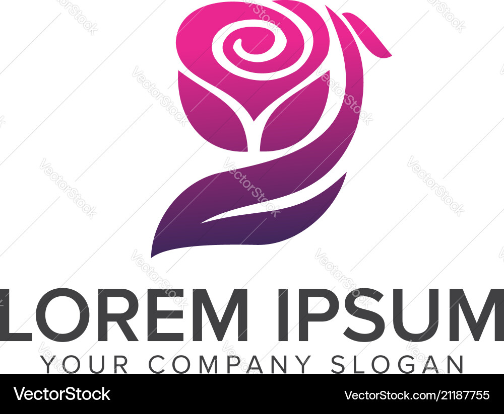 Beautiful rose flower logo design concept template