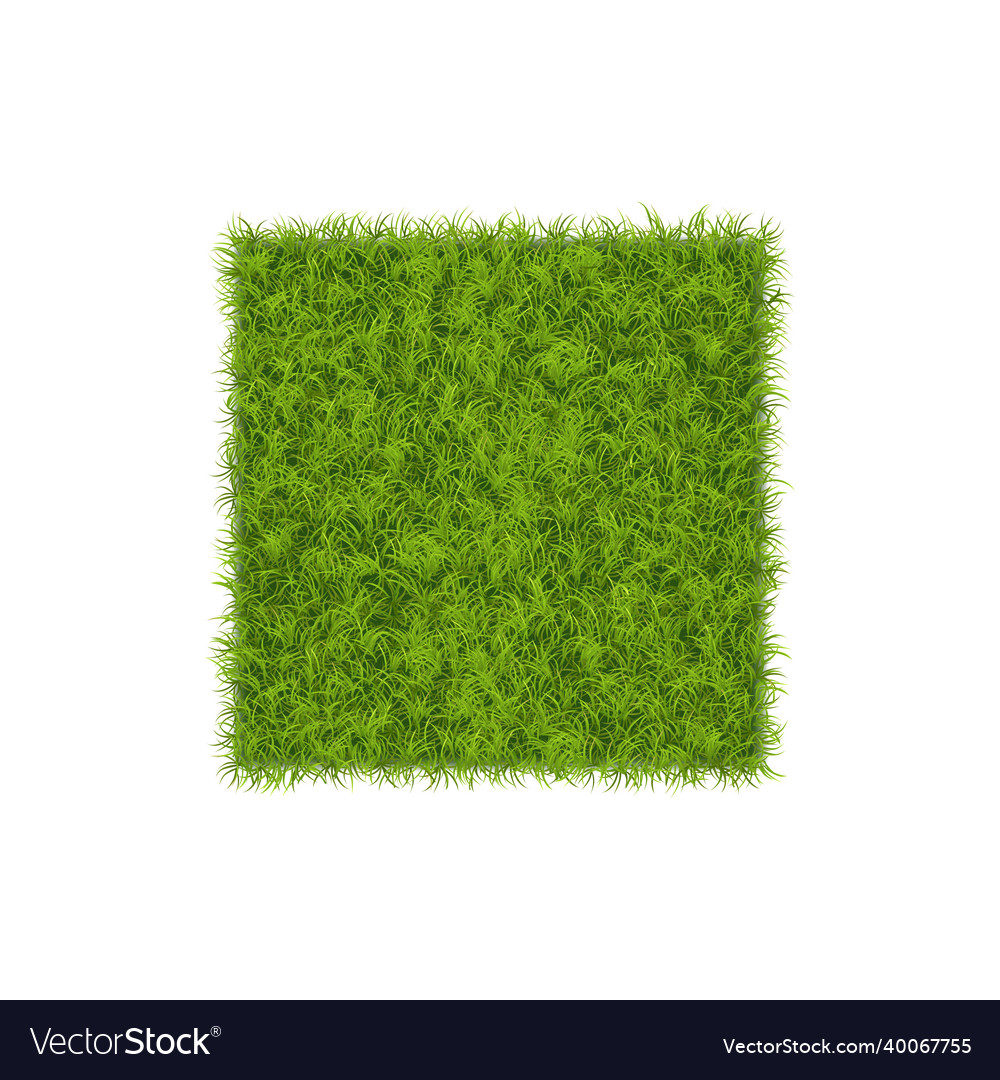 Tiny grass realistic composition Royalty Free Vector Image