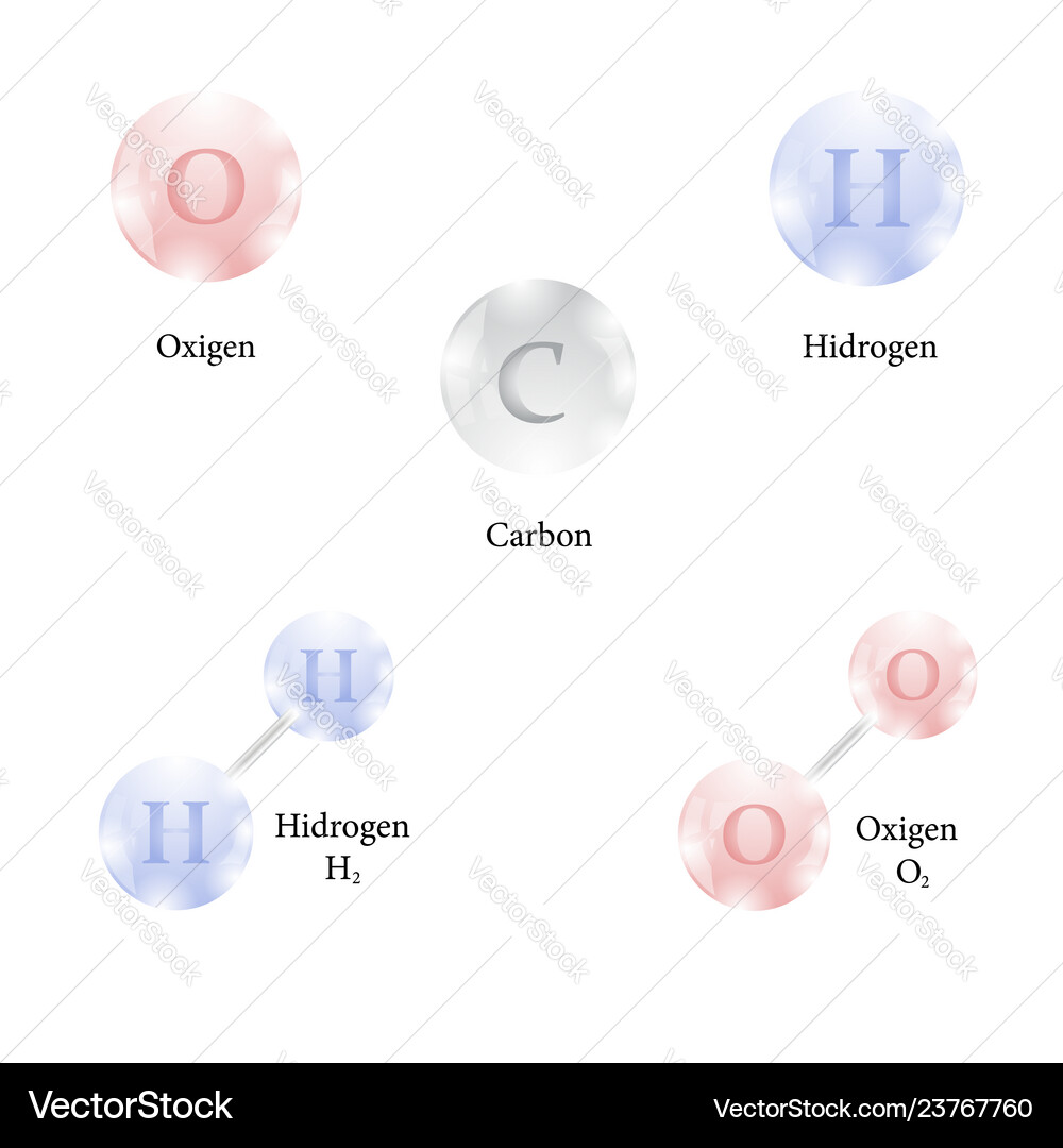 Molecule of hidrogen carbon oxygen chemical Vector Image