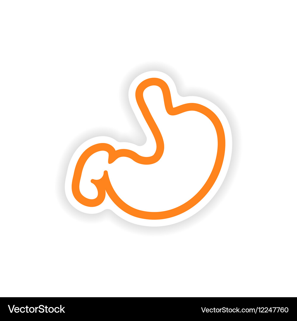 Paper sticker on white background human stomach Vector Image