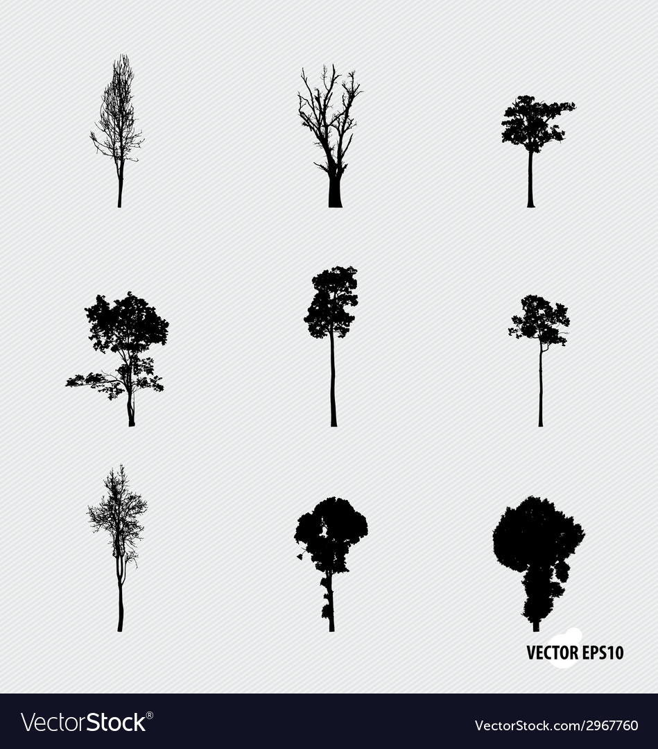 Set of tree silhouettes Royalty Free Vector Image