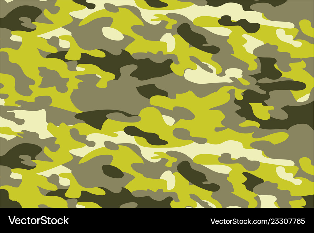 Camouflage military background abstract military Vector Image