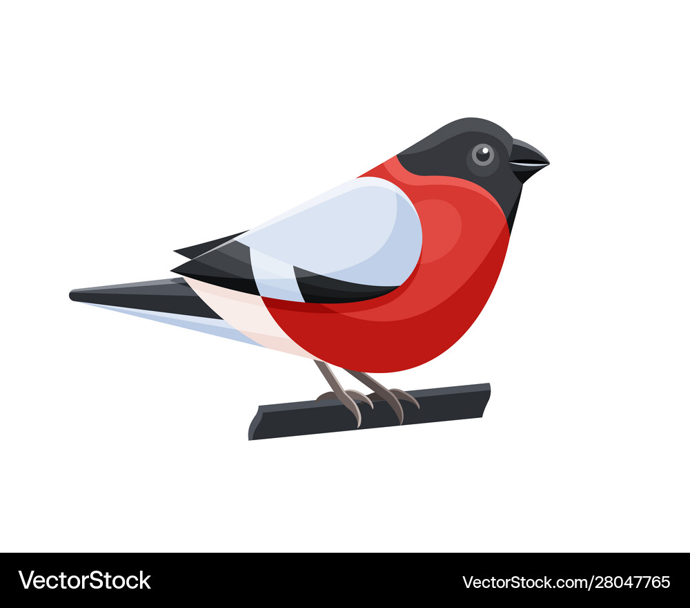 Colorful bullfinch bird Royalty Free Vector Image