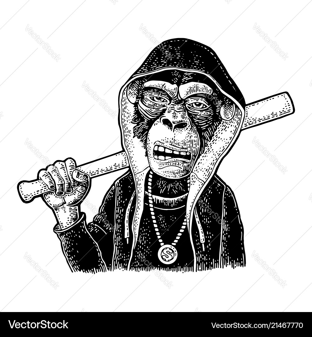 Monkey raper dressed in hoodie necklace dollar Vector Image