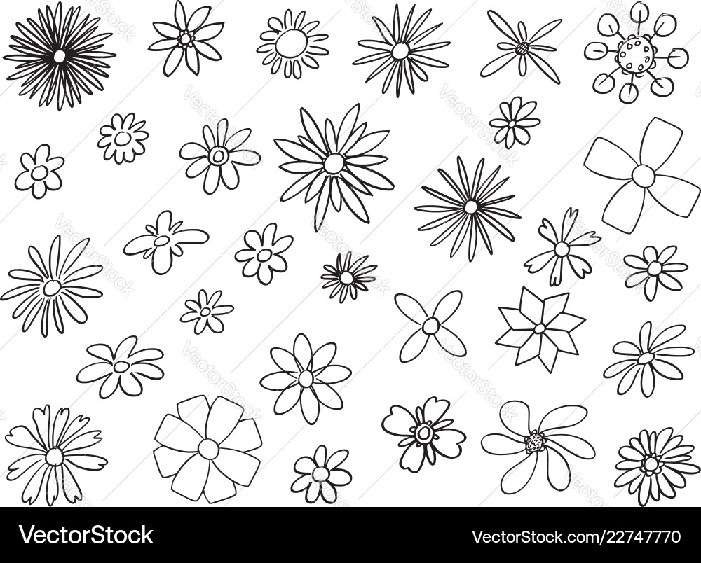 Sketch drawing set flowers in bloom Royalty Free Vector
