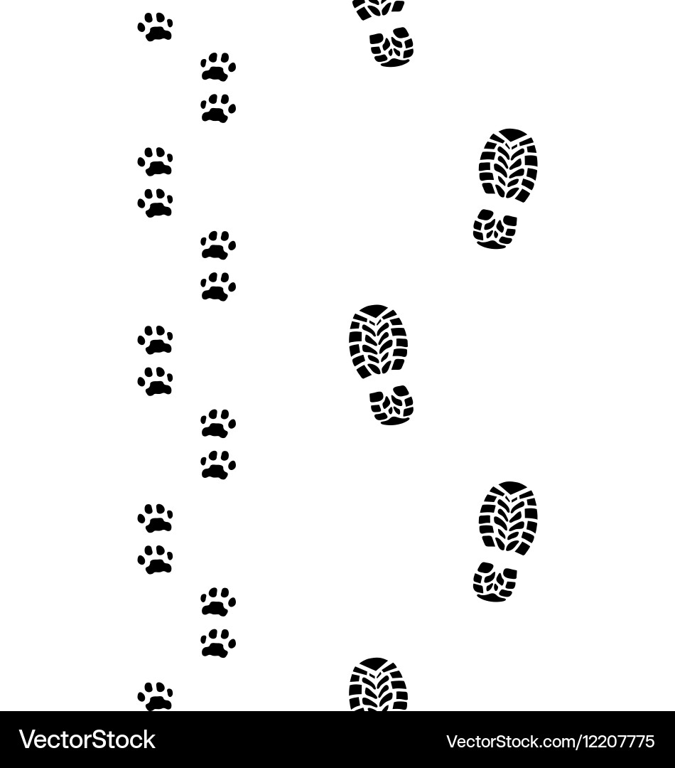 Human feet and dog paws Royalty Free Vector Image
