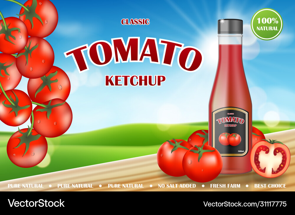 Tomato ketchup ads realistic ketchup bottle Vector Image