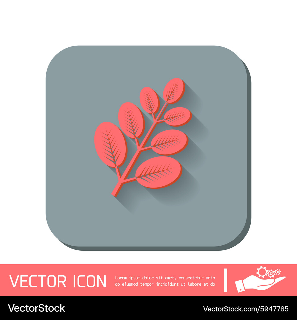 Branch with leaves symbol icon geometry teaching Vector Image