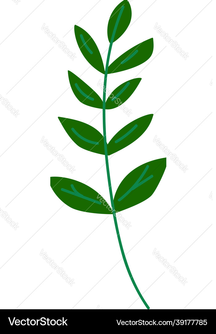 Growing tree green leaf garden eco nature Vector Image